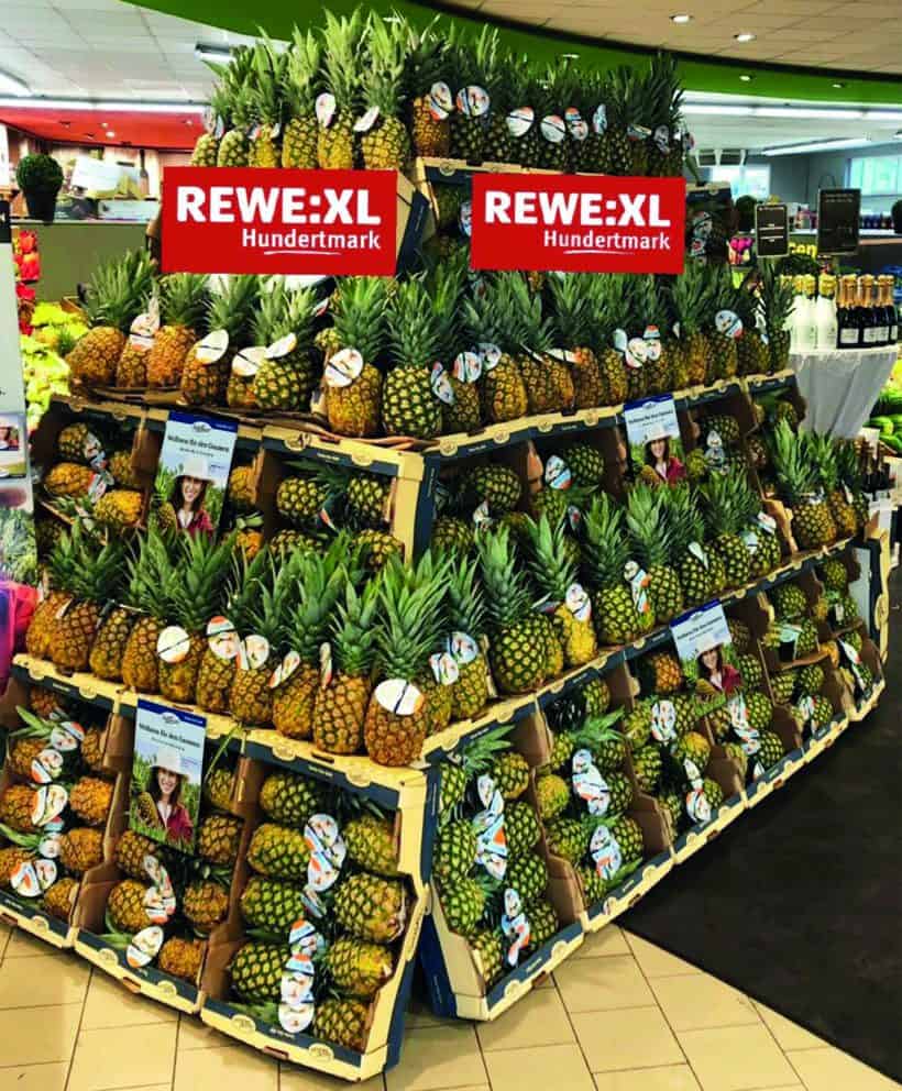 Ananas: Köstlicher Vitamin- und Enzymlieferant – rewe-hundertmark.de